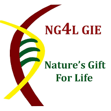 Glotelho Cameroun | Site de vente en ligne leader